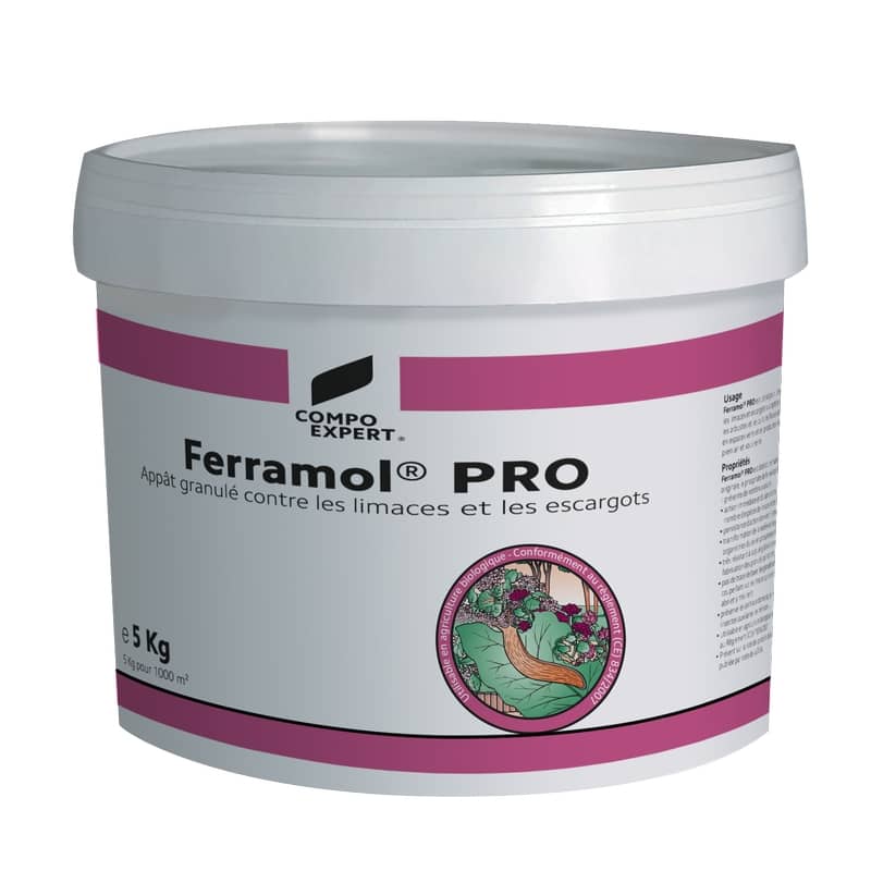 Débarrassez-vous des limaces dans le jardin ! Le guide ultime