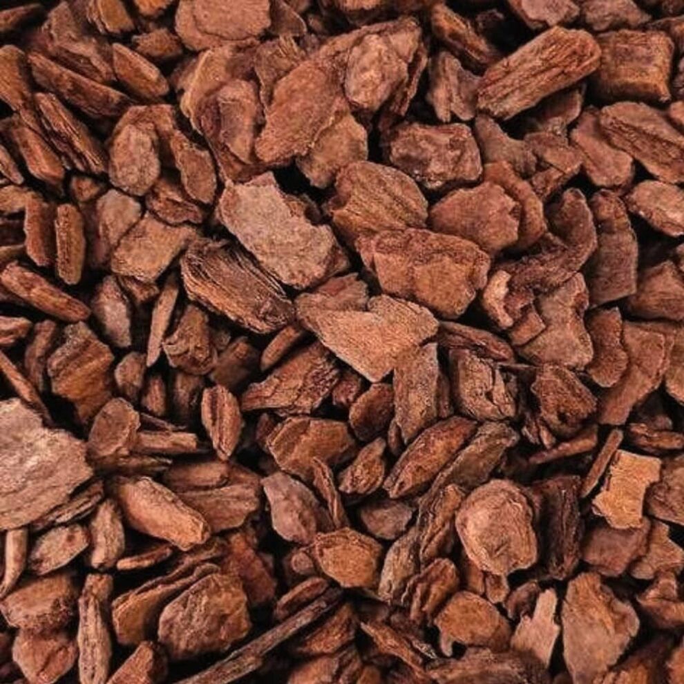 ORCHID BARK Medium 6-12 mm - Substrat pour orchidée