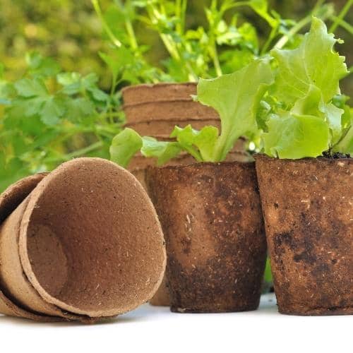 Pots biodégradables pour une culture écologique et responsable