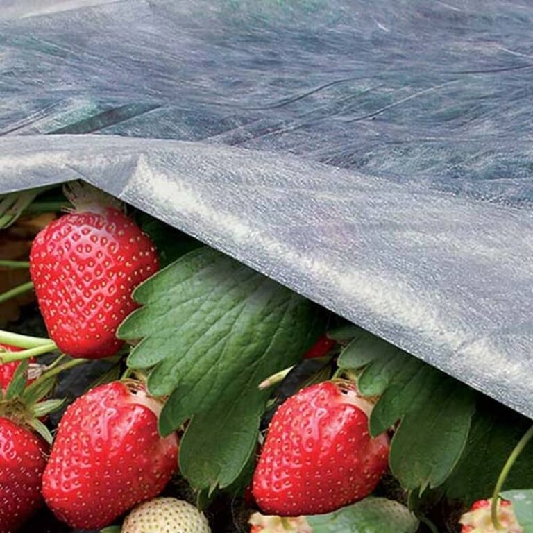 Voile de forçage - P17 - 17 g/m² - au mètre linéaire